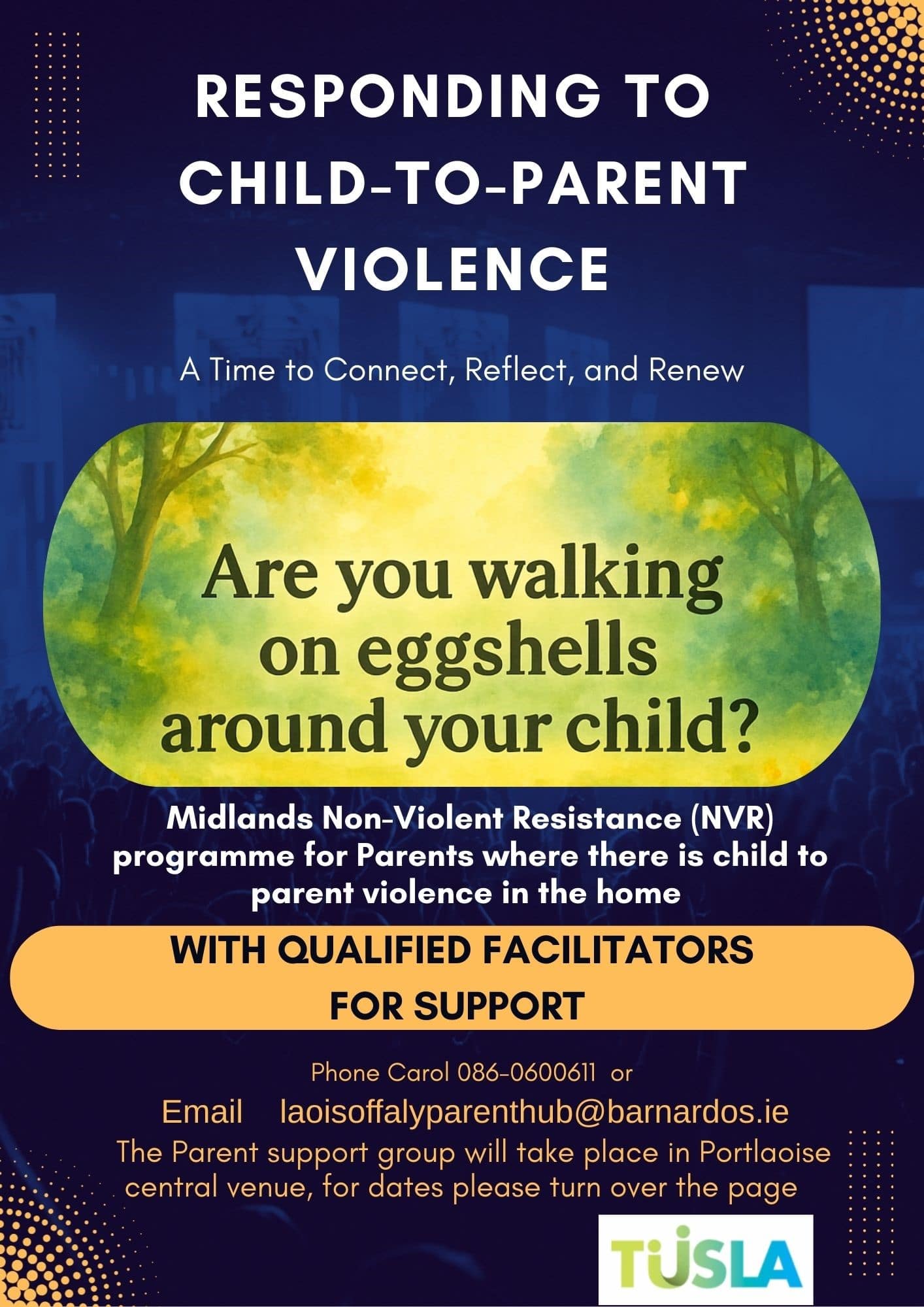 Portlaoise NVR Parent Group- Non Violent Resistant Programme - Open Up